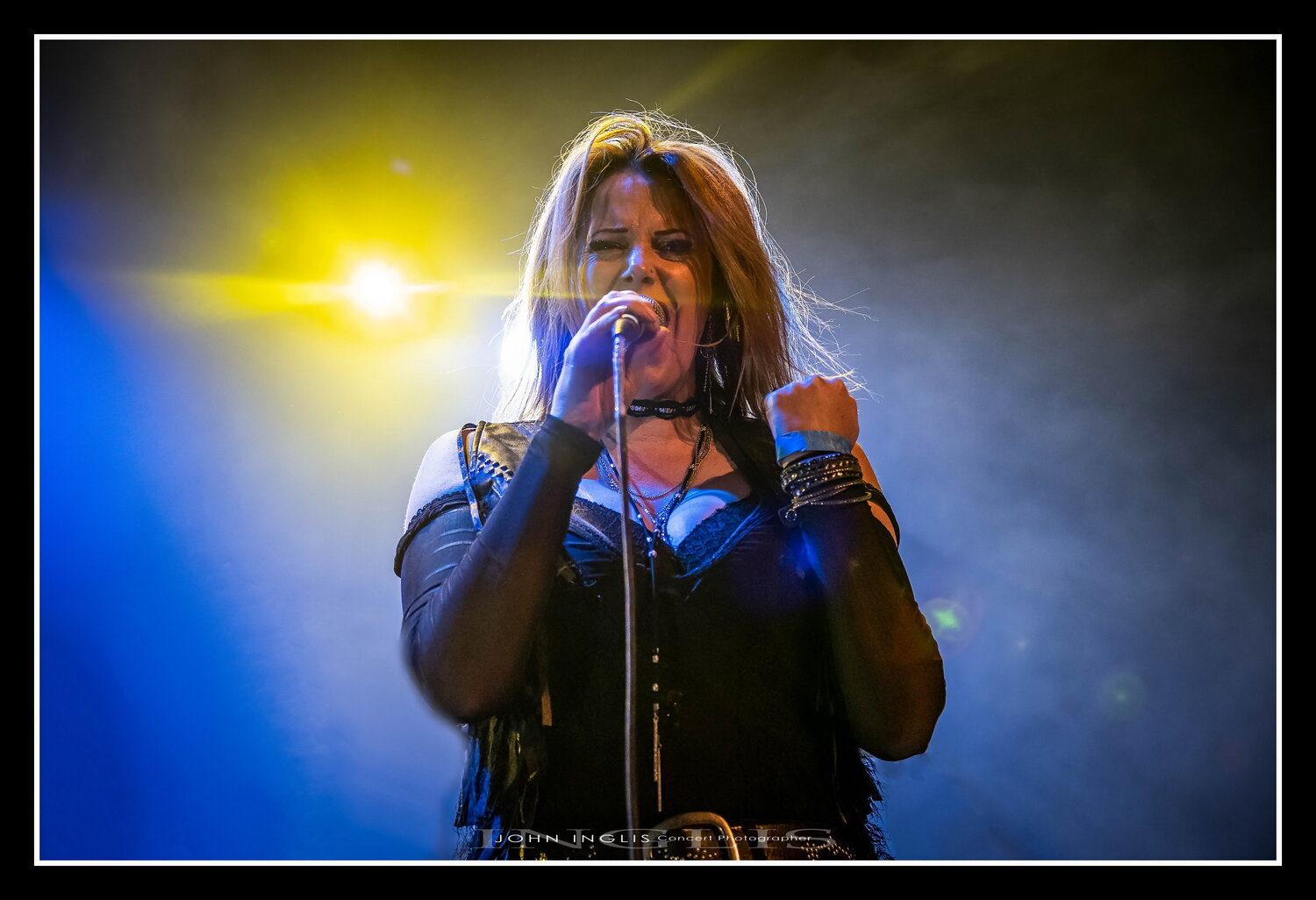 Gallery – The Robin